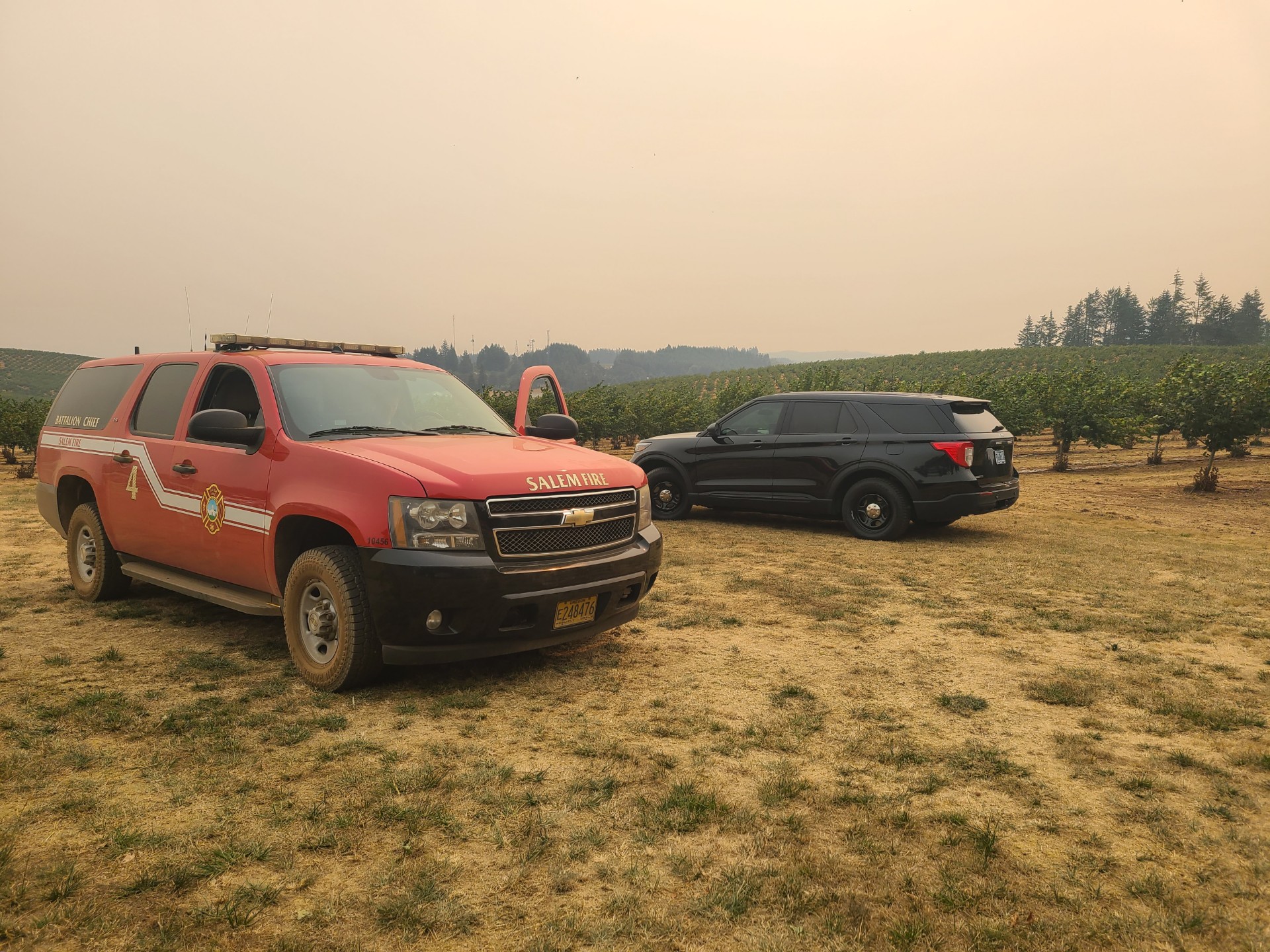 Marion Co. Sheriff's Office News via Flashalert.net