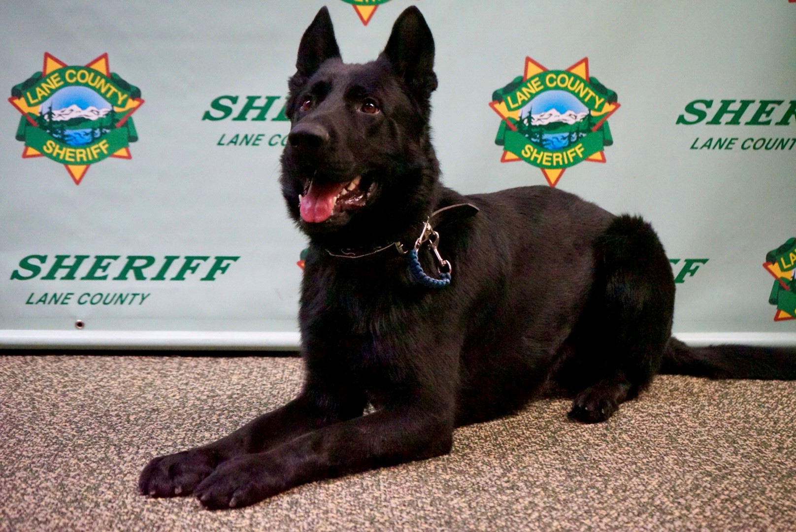 Lane Co. Sheriff's Office News via Flashalert.net