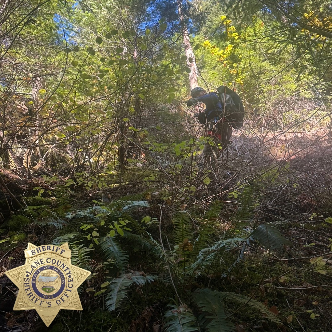 Lane Co. Sheriff's Office News via Flashalert.net